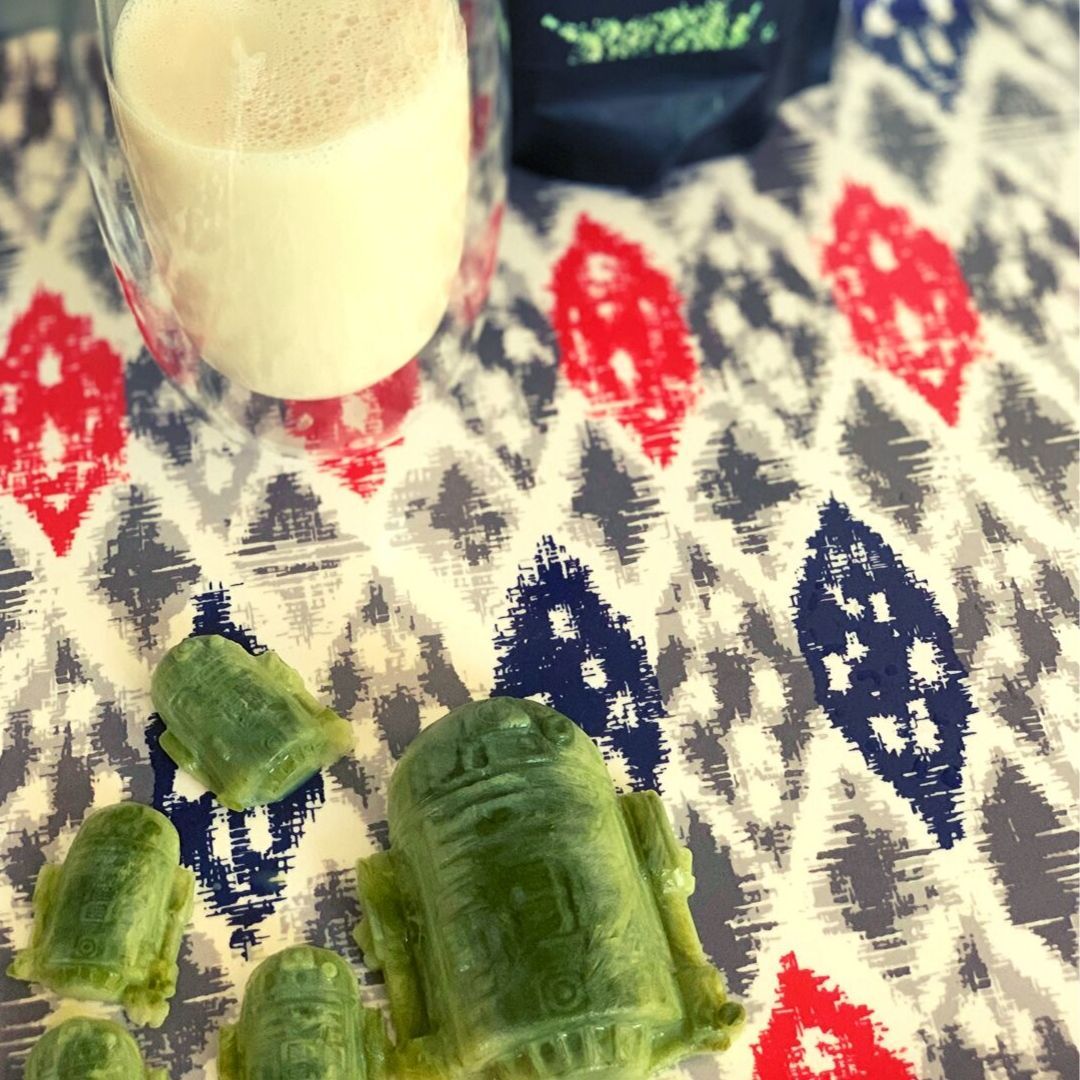 Matcha Ice Cubes – Matcha Oishii